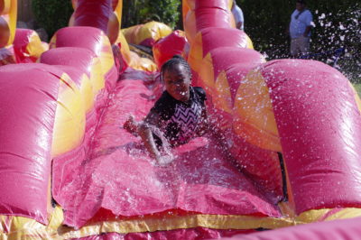 Super Splashtacular Summer Returns To Miami Seaquarium With A Field Of ...