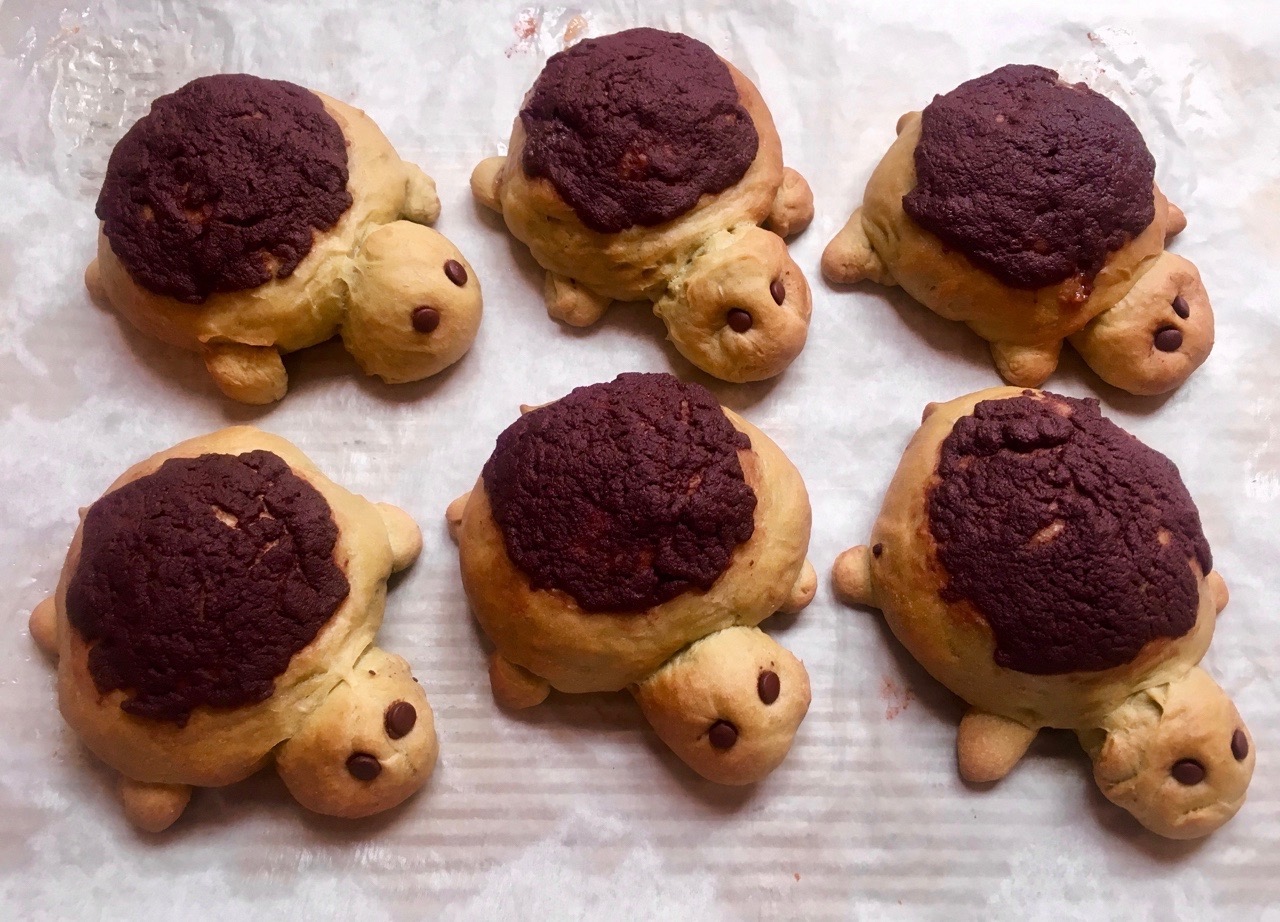 Turtle Bread Class (Ages 2-8 w/ Caregiver) 2/27/21 – The Soul Of Miami