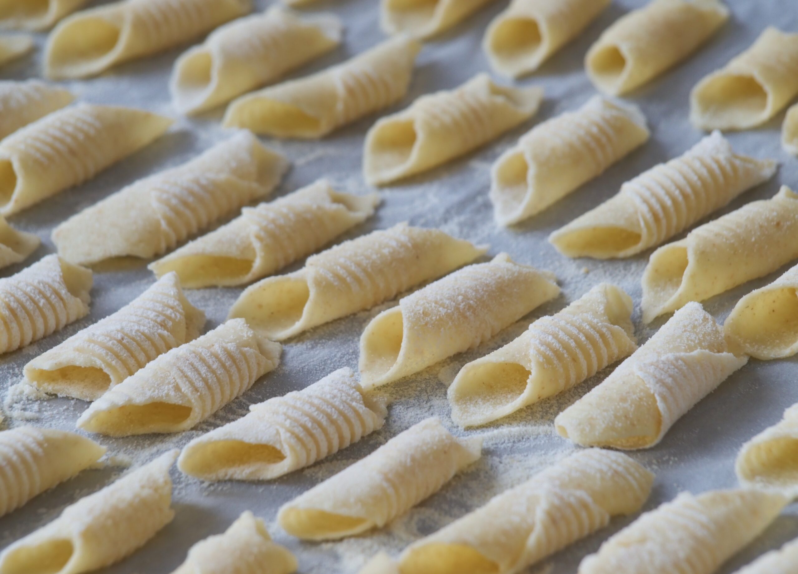 Handmade Pasta Twist Class (2 Spots / Adult BYOB / 18+) 12/16/22 – The ...