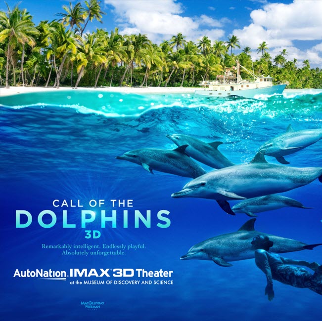 Call of the Dolphins at the AutoNation® IMAX® 3D Theater at the Museum ...