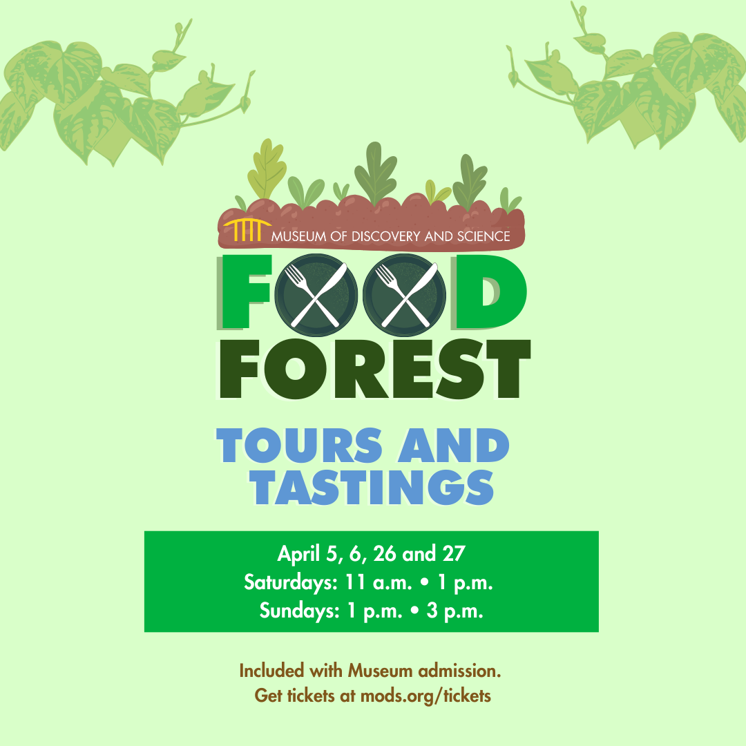 The Museum of Discovery and Science’s Food Forest Tours and Tastings 4 ...