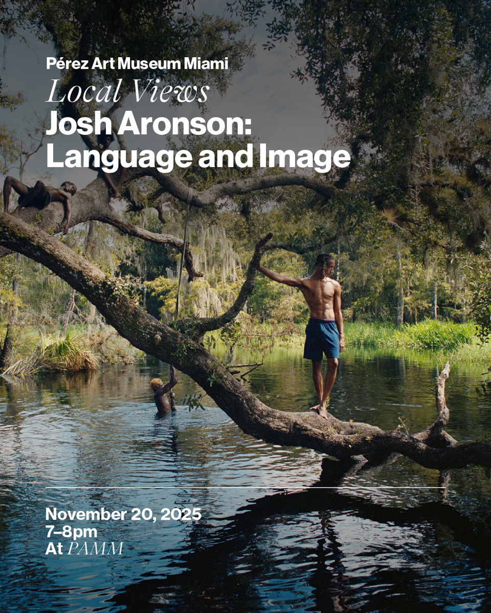 Local Views with Josh Aronson: Language and Image 11/20/25 – The Soul ...