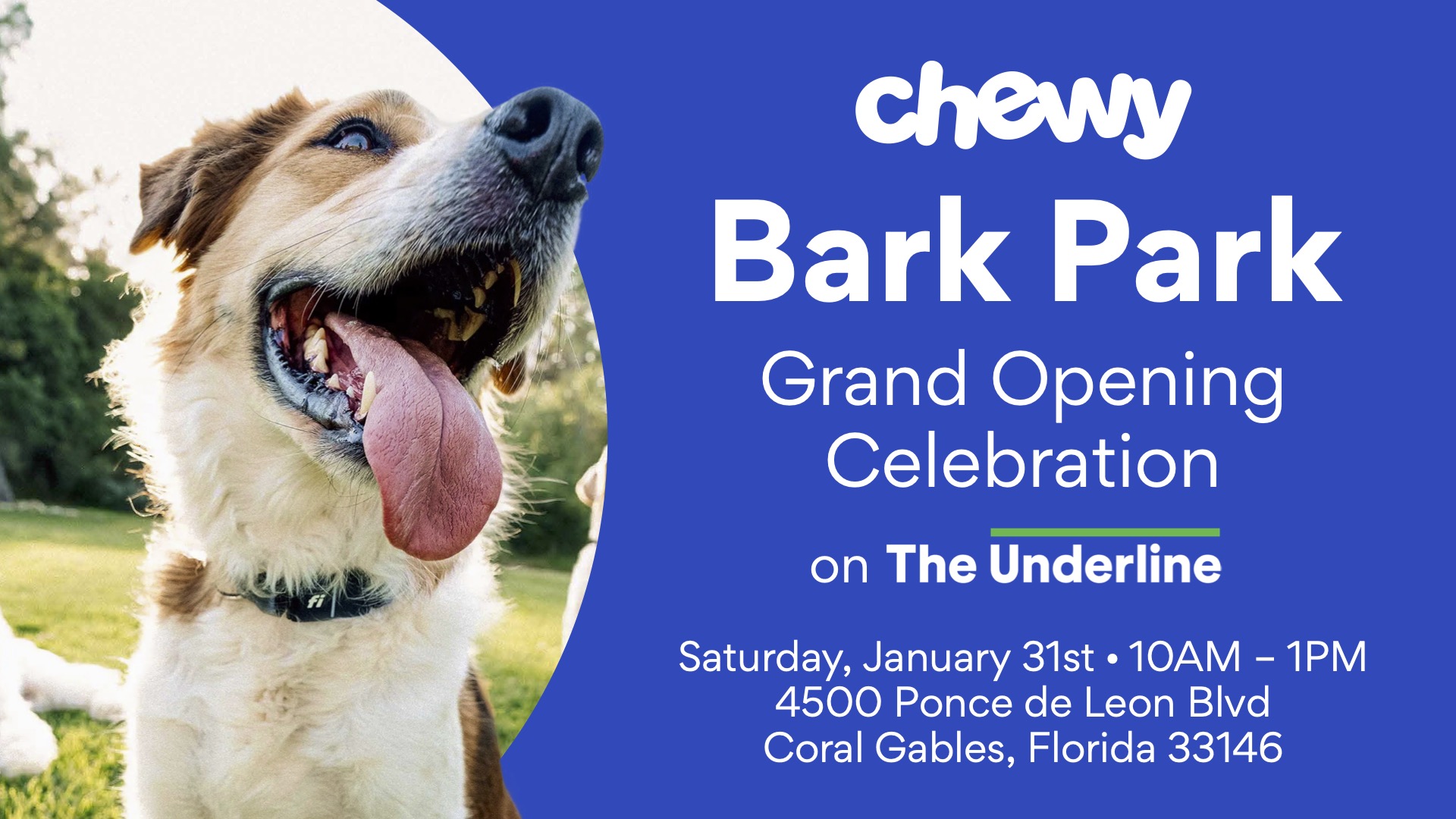 Chewy Bark Park on The Underline 1/31/26 – The Soul Of Miami